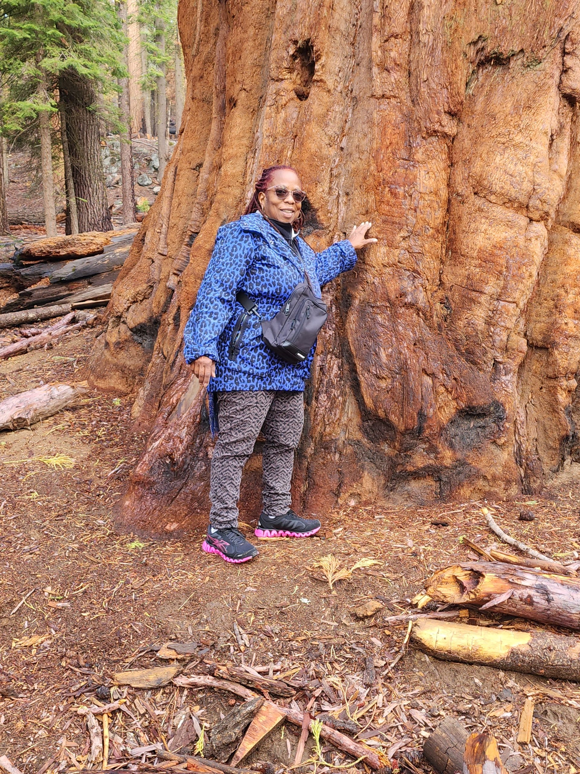 Physical Therapy's Role in Wellness: Your Path to a New You - The ...