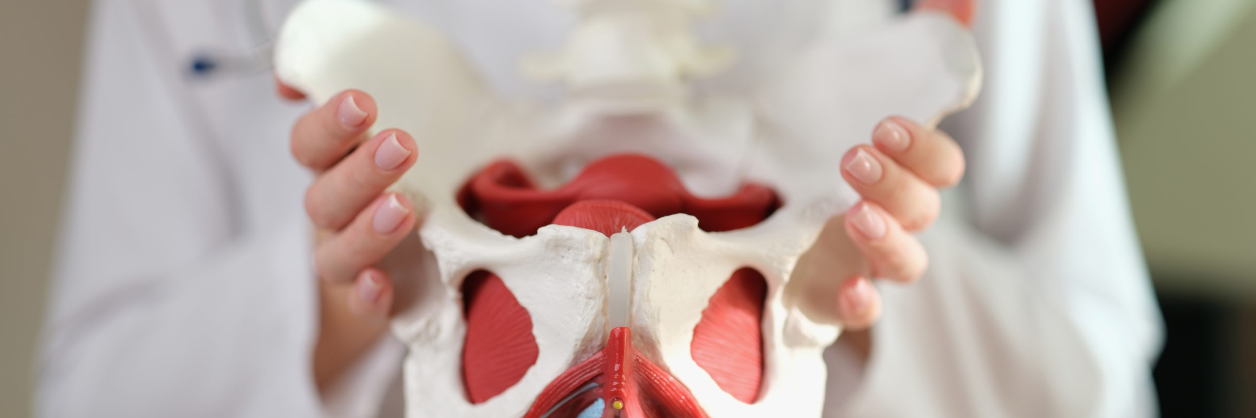 Pelvic Floor Physical Therapy for Women's Health: Empowering Women ...